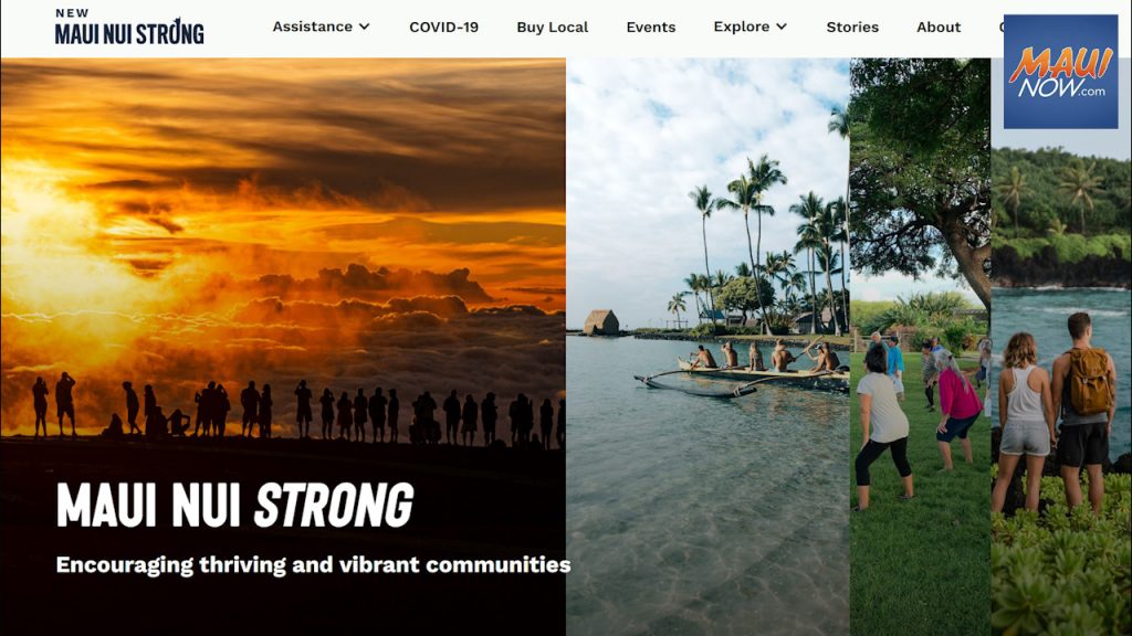 Maui Nui Strong website evolves into catalyst for connecting community ...