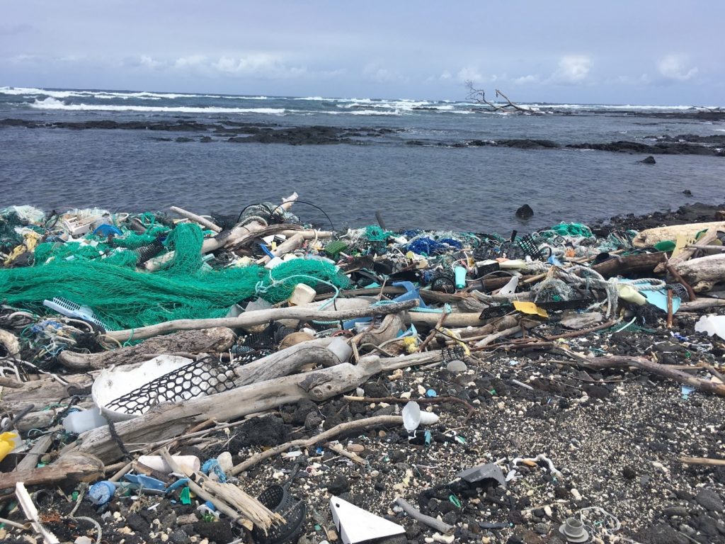 Marine debris hotline available for rapid removal of abandoned fishing ...