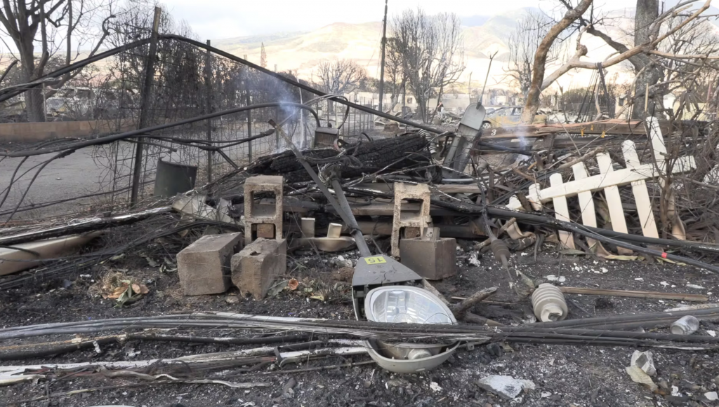 Maui wildfire updates for Aug. 11: Death toll rises to 80; Limited ...