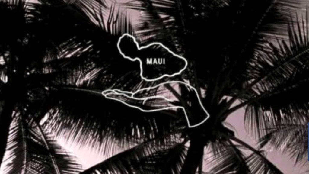 Hawaiʻi Building Industry Foundation launches Maui Recovery + Rebuild ...