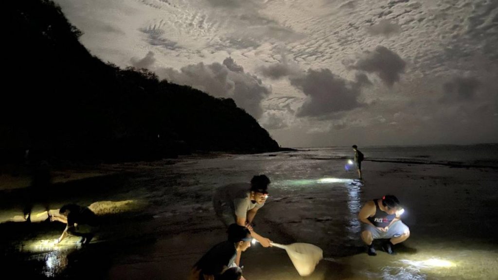 University of Hawaiʻi: Where are all our island people in the ocean ...