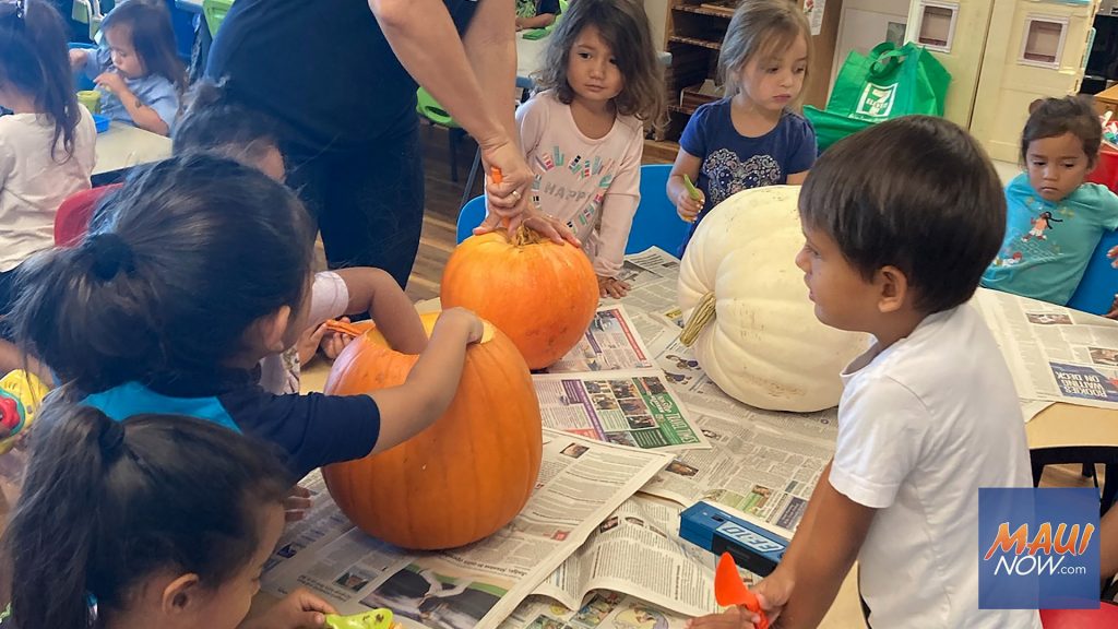 MEO Head Start preschool applications available Feb. 1, 2024 : Maui Now