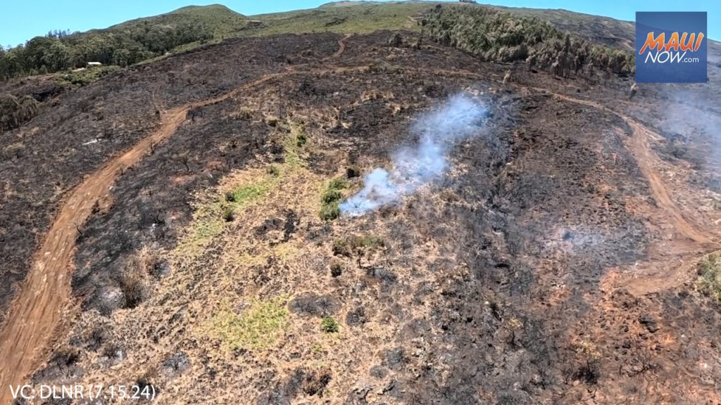 Crater Road Fire, a bird’s eye view: Stamping out hot spots in rough ...