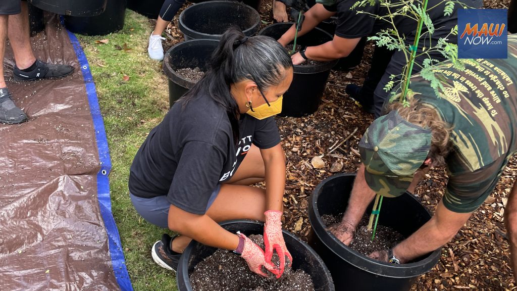 Kā‘anapali Beach Resort grows hope for Lahaina with tree donations ...
