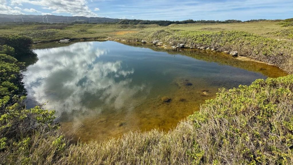 Applications now accepted for state Legacy Land Conservation Program ...
